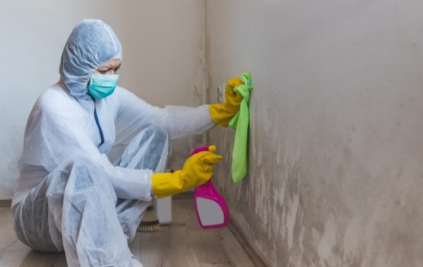 How to Clean Walls and Remove Stains and Mould: Before and After ...