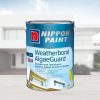 Weatherbond AlgaeGuard – Nippon Paint Singapore